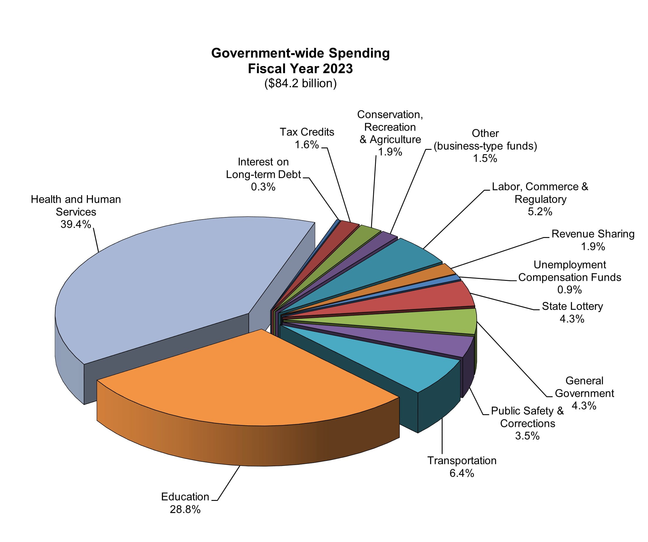 What are the largest programs supported by state government?
