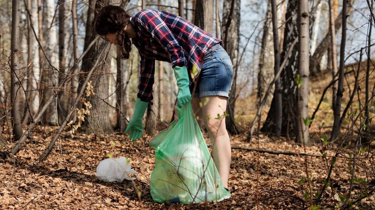 Adopt-a-Forest: Keep Michigan's Forests Clean
