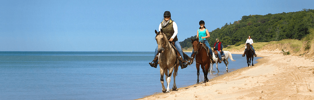 Shoreline horseback riding season