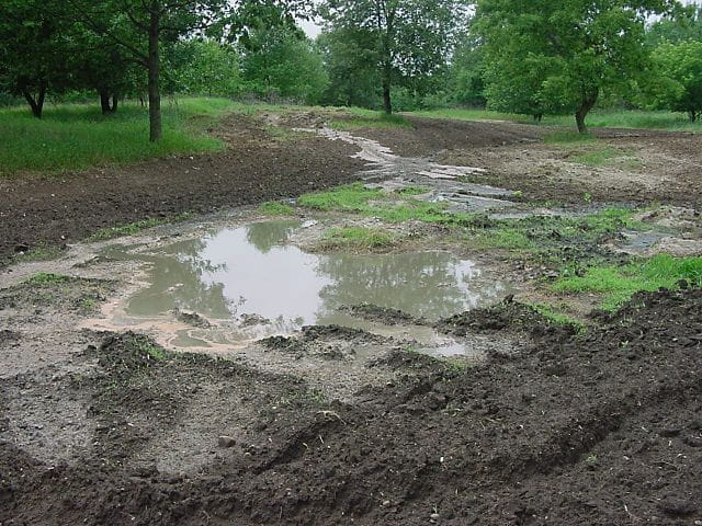 Septage Violations Photo Gallery