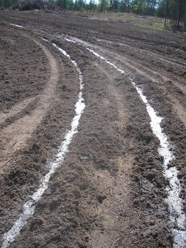 Septage Violations Photo Gallery