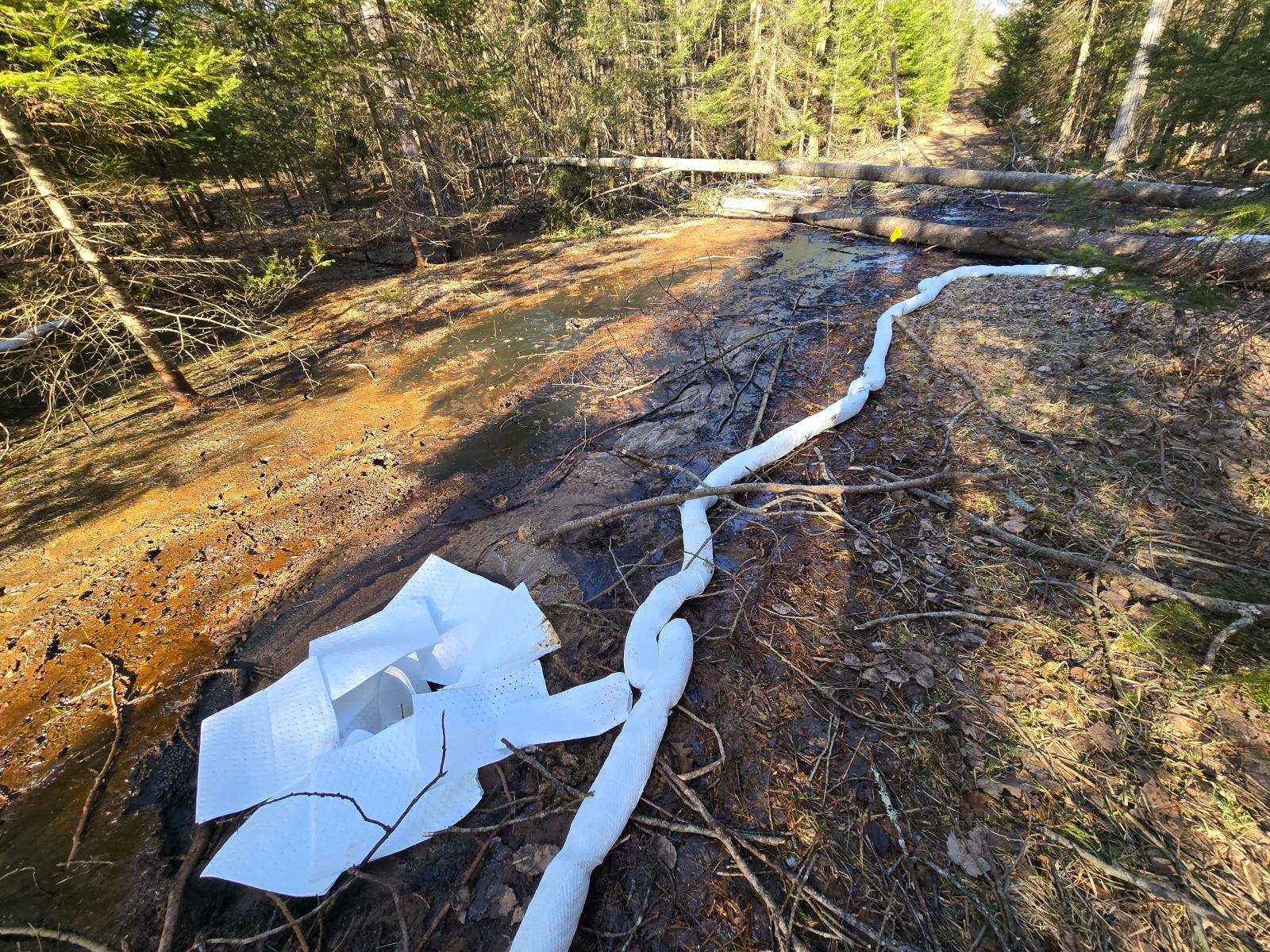 Pigeon River State Forest Incident