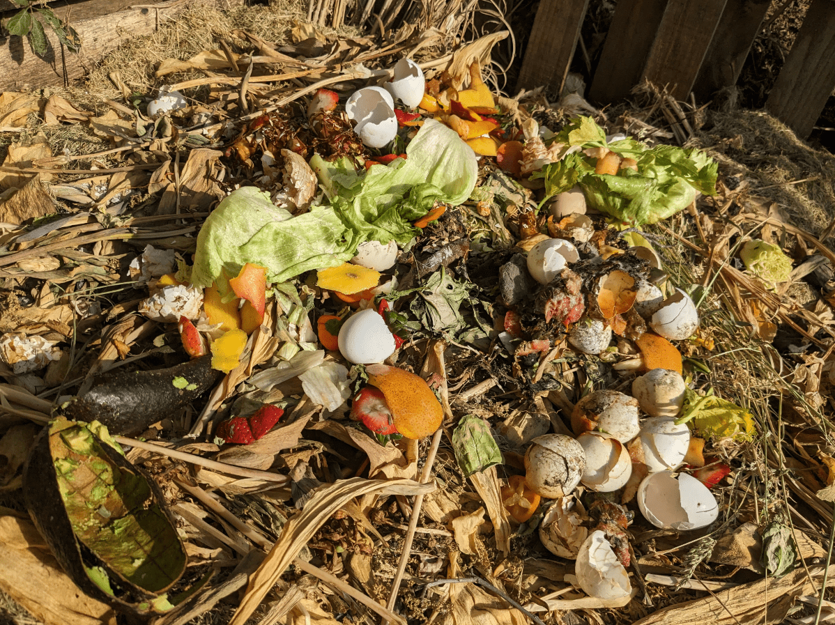 Why composting food scraps is better than sending them to a landfill