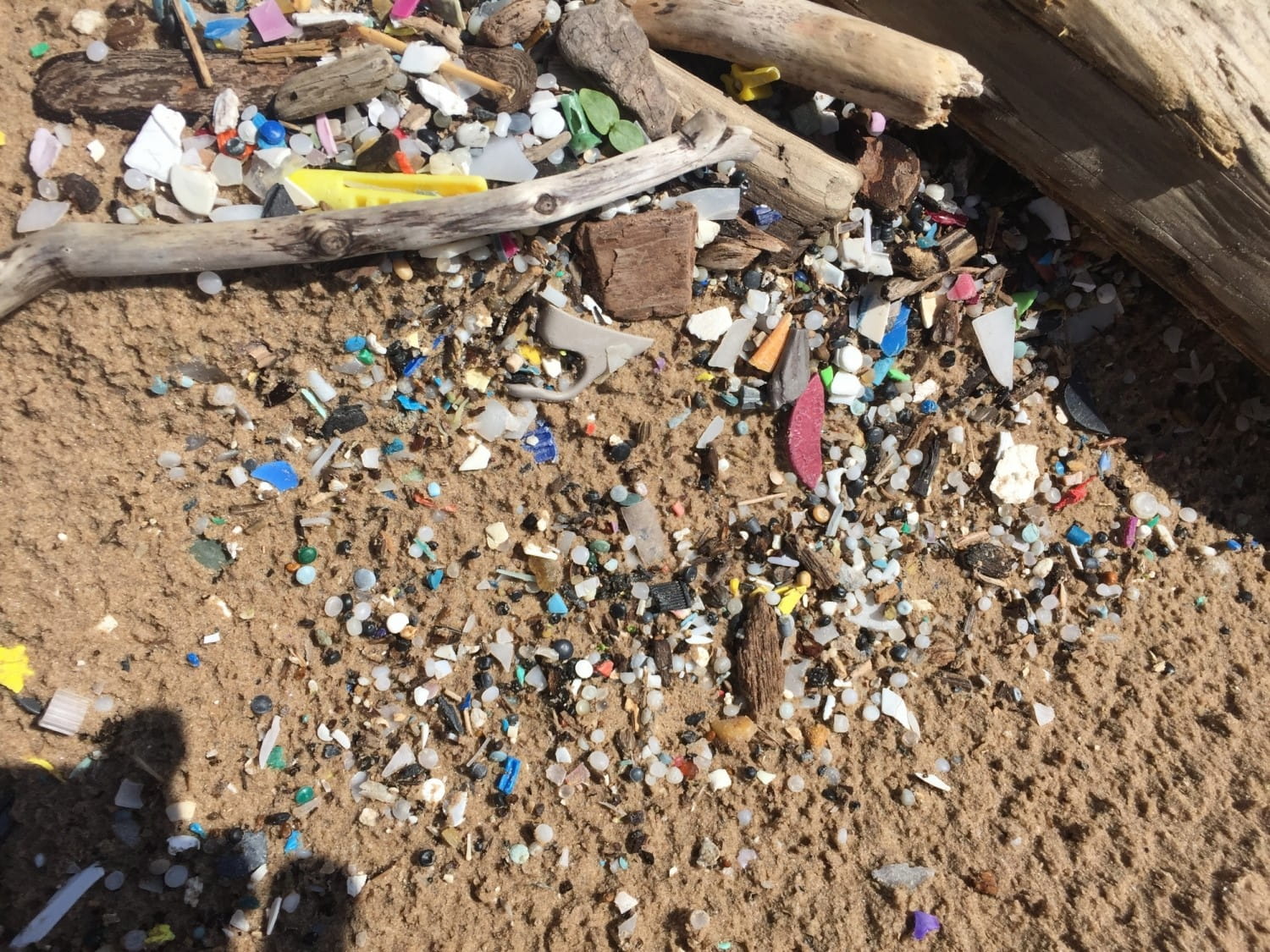 Breaking down the problem of microplastics in the Great Lakes