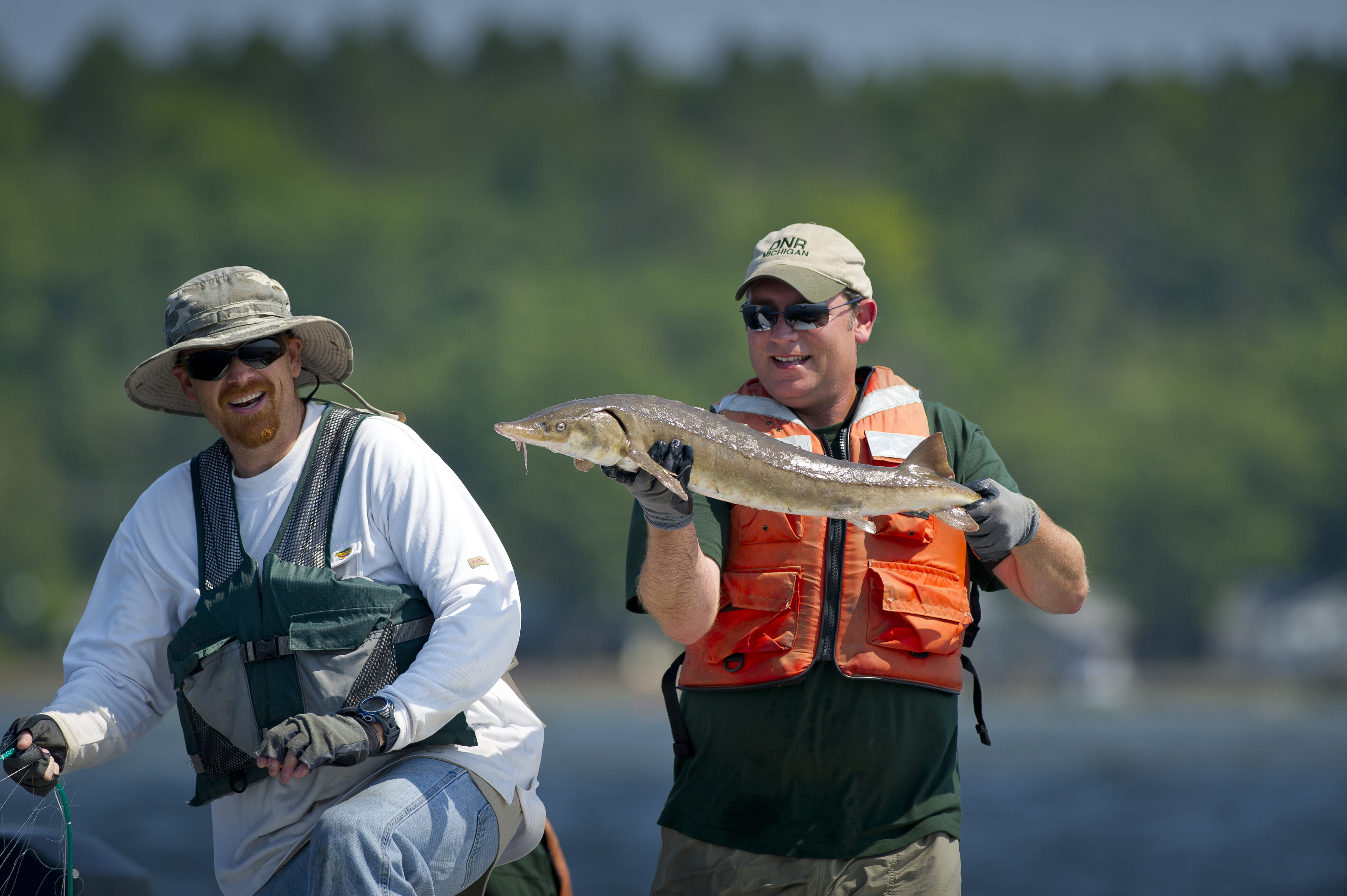 Safeguarding Michigan’s ever-changing fisheries