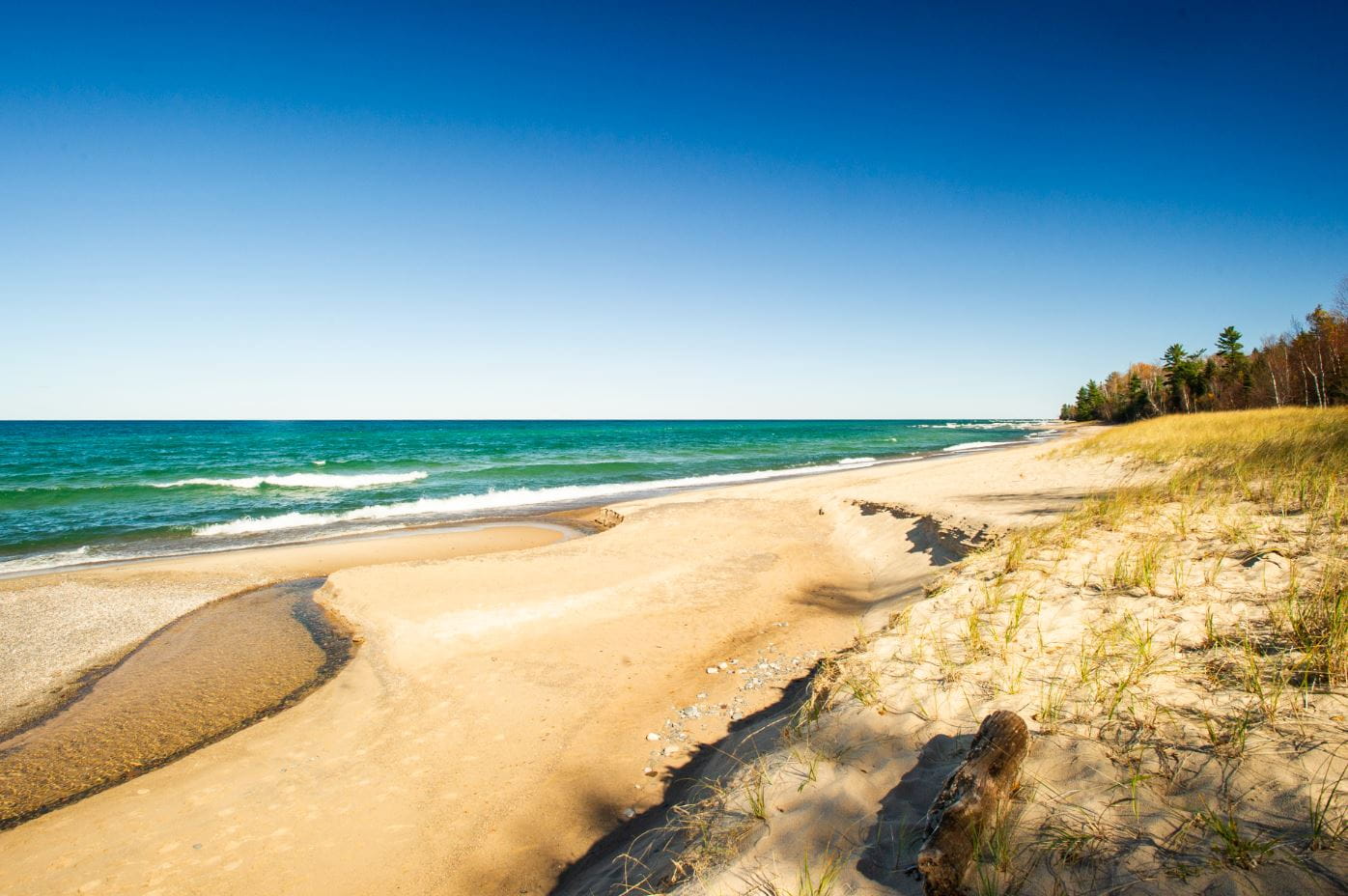 Michigan State of the Great Lakes Report