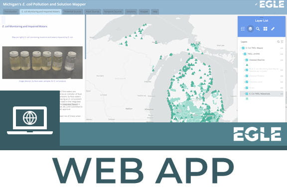 E. coli in Surface Waters