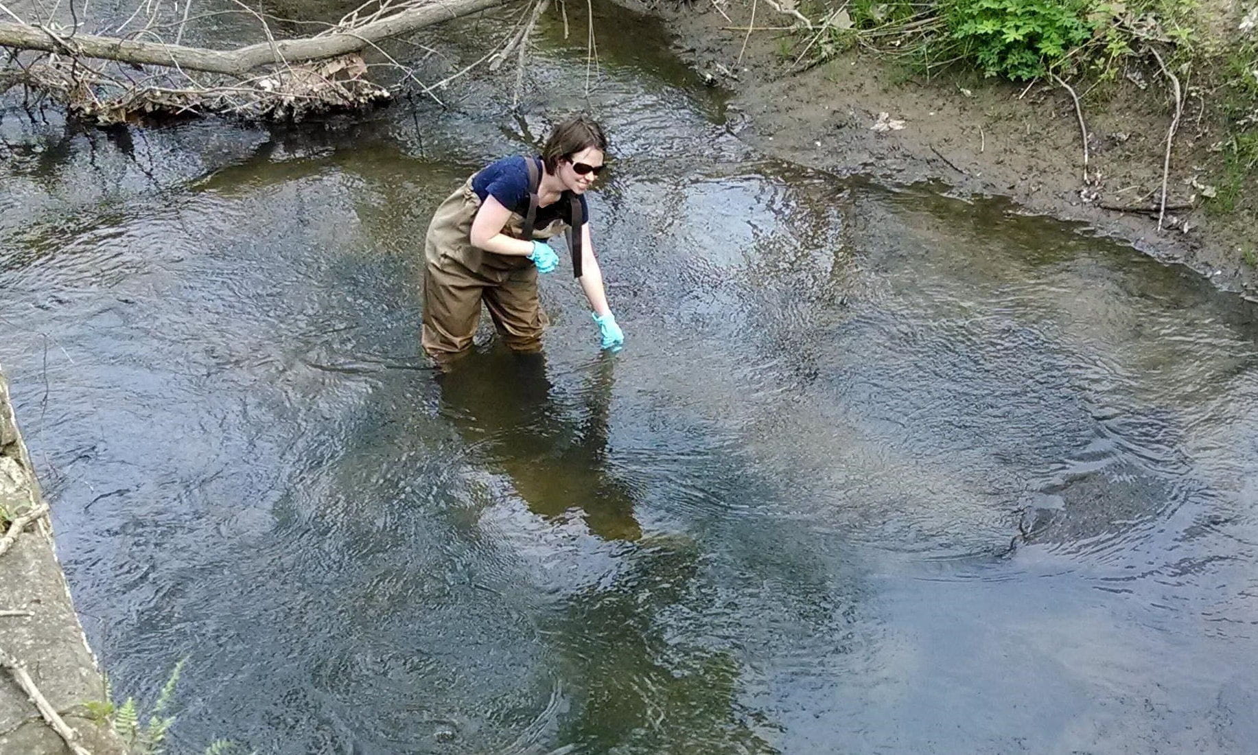Learn about Water Quality Monitoring