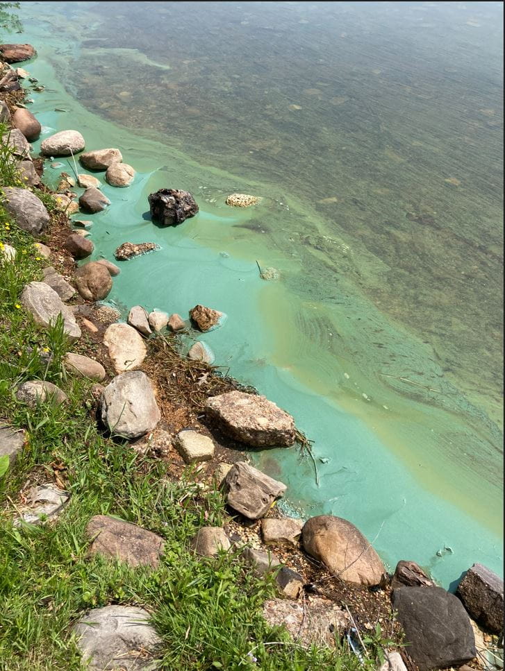 Harmful algal bloom season starts early, two webinars slated
