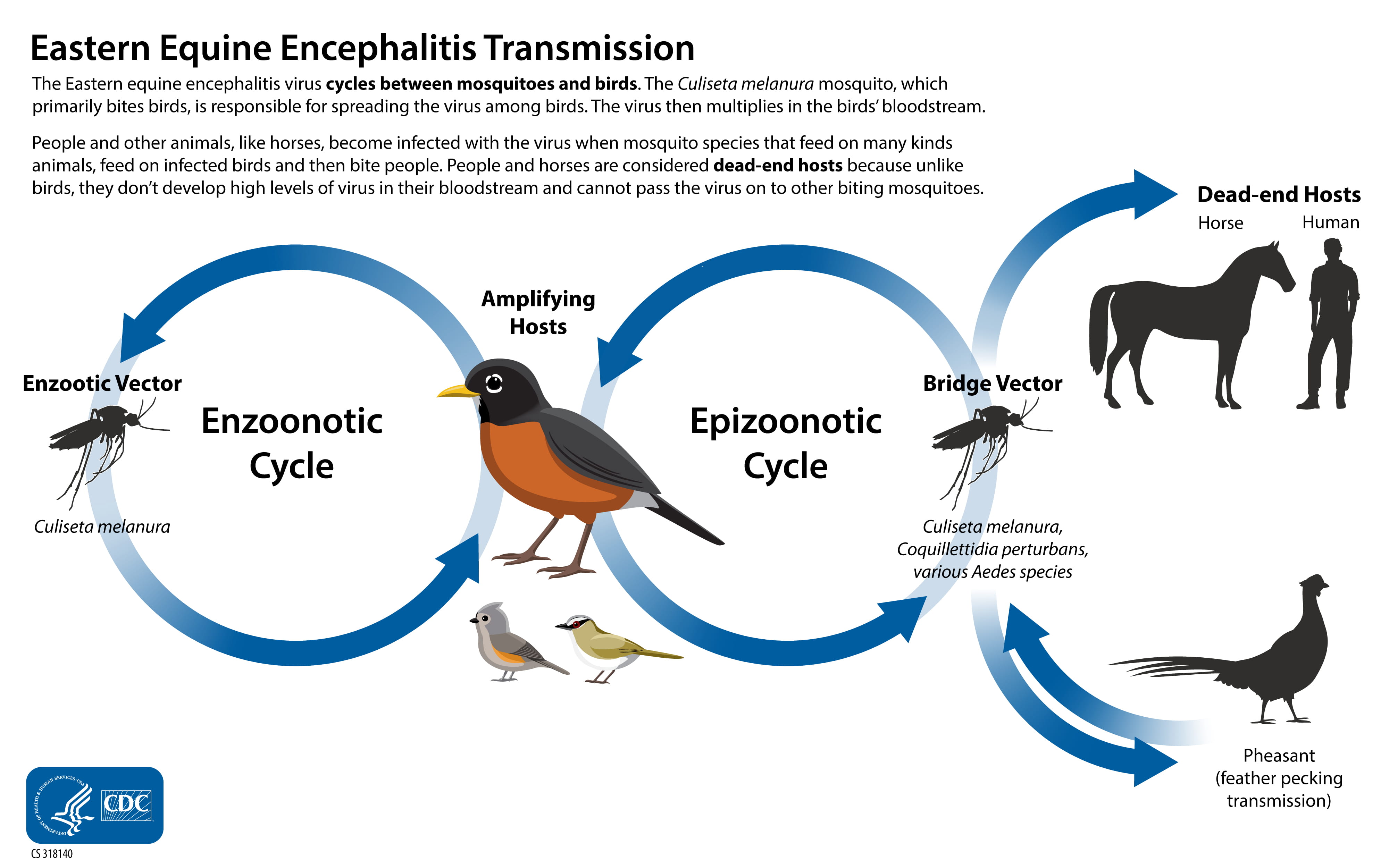 Emerging Disease Issues - Eastern Equine Encephalitis