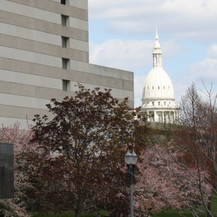 Library of Michigan - LIBRARY OF MICHIGAN