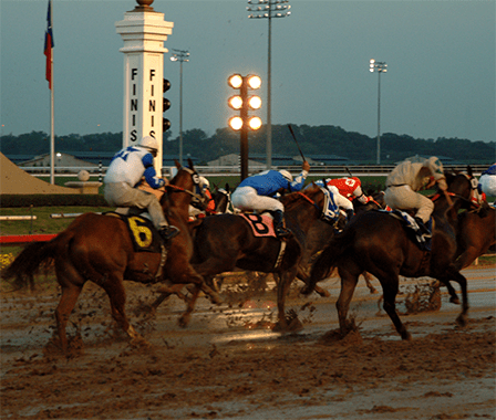 MGCB - Michigan Gaming Control Board