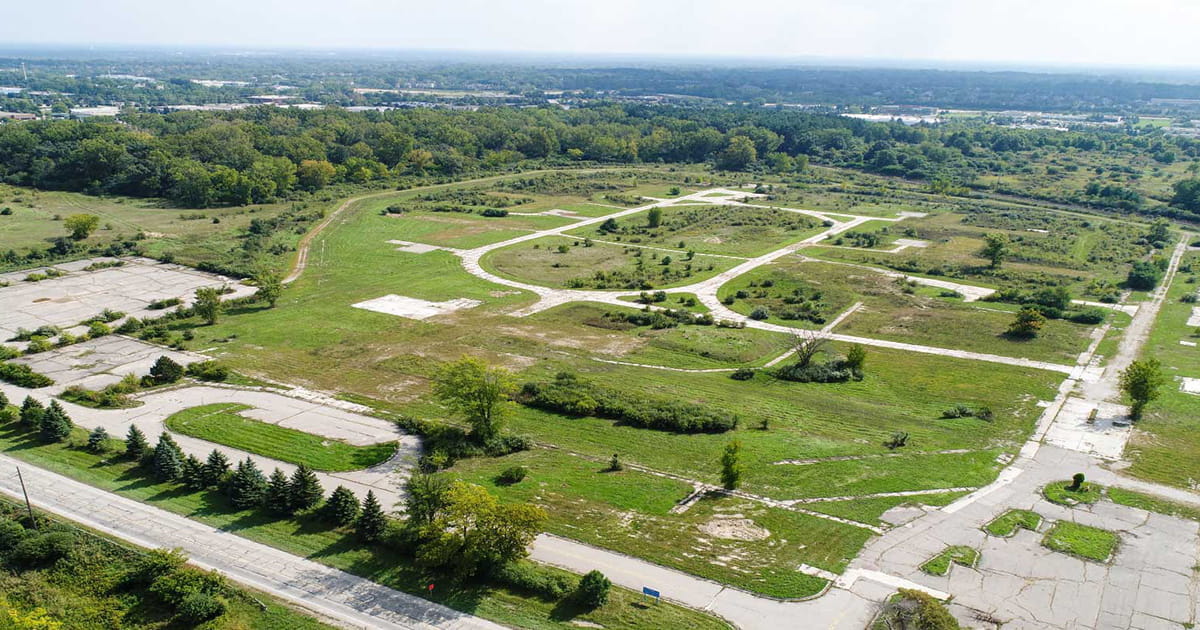 LEO - Blight Elimination Program