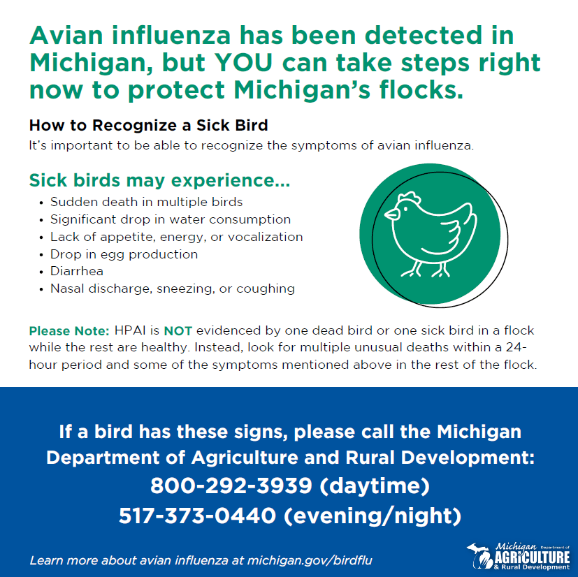 MDARD - Avian Influenza (Bird Flu)