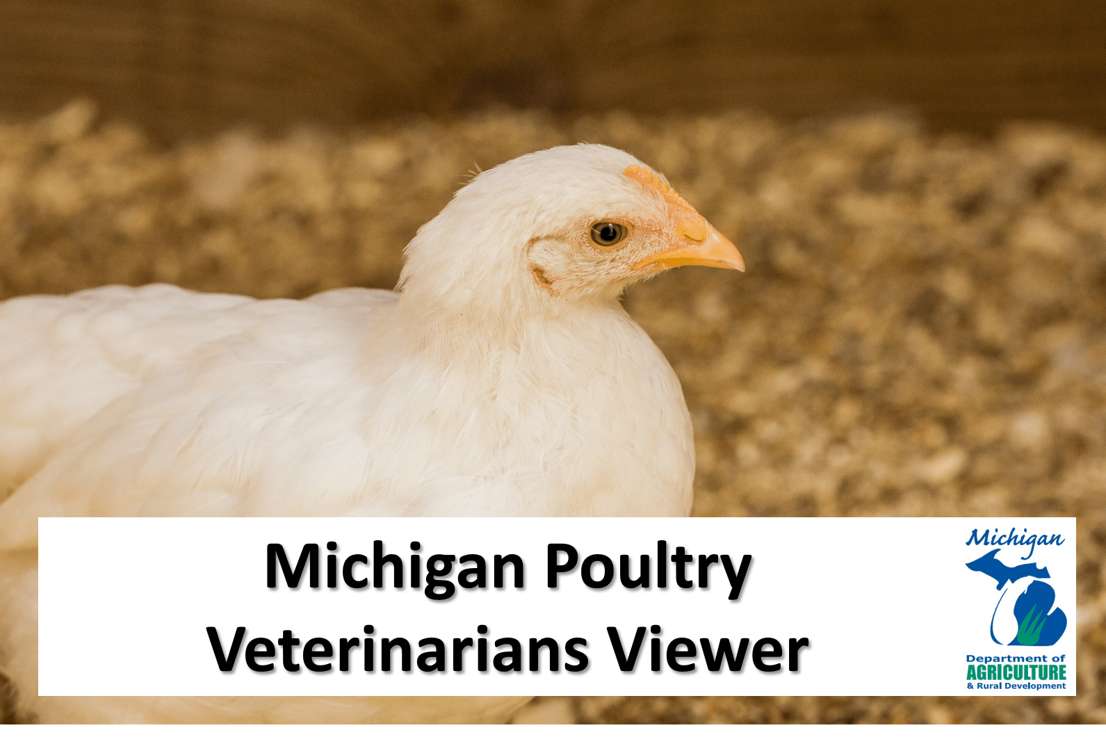 MDARD - Avian Influenza (Bird Flu)