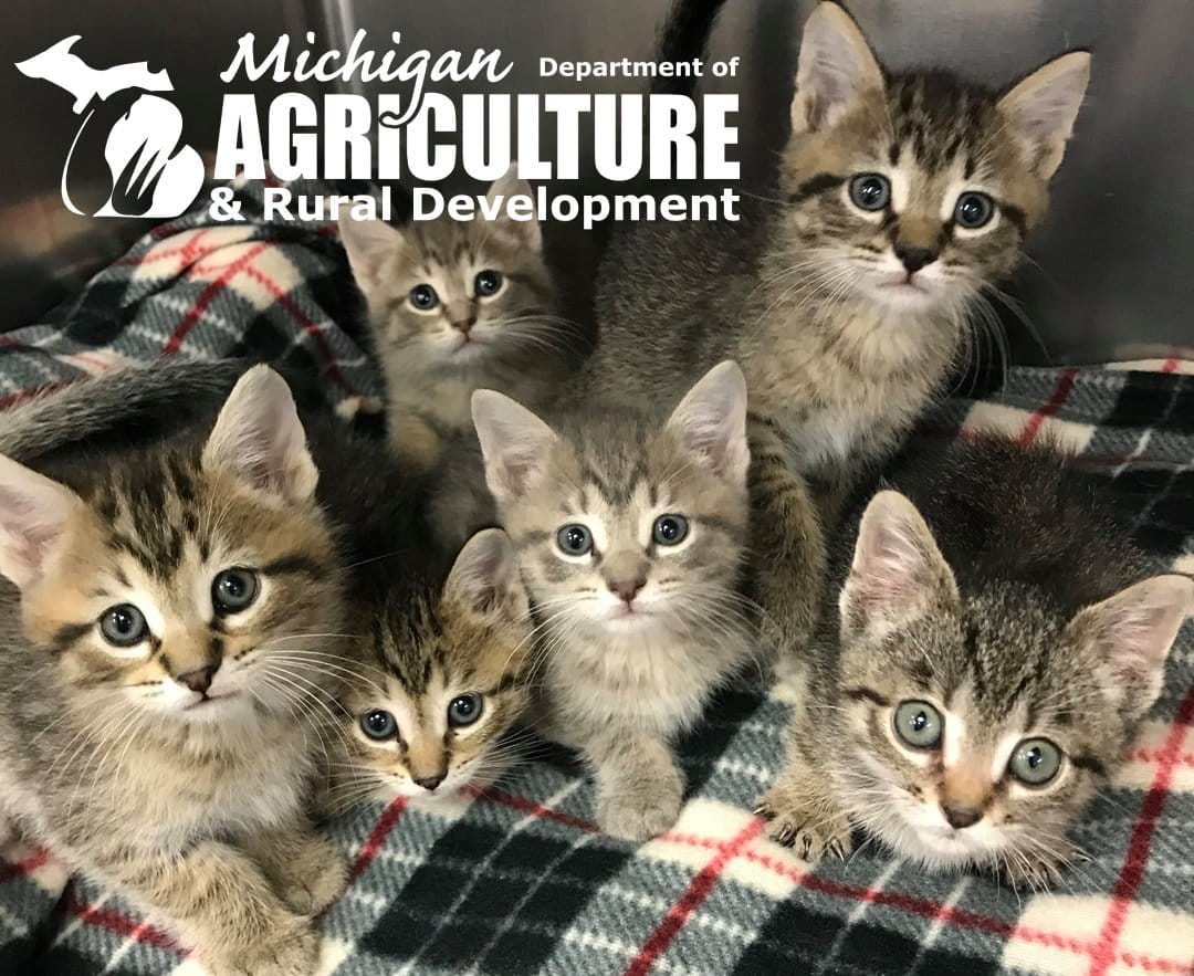 MDARD - MDARD Encourages Owners to Help Keep Pets Safe this Spring ...