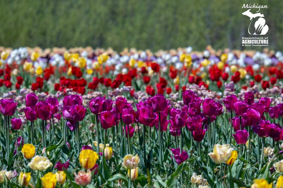 MDARD - MDARD Grant Program Announces Newest Recipients