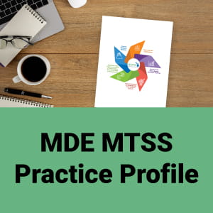 Multi-Tiered System of Supports (MTSS)