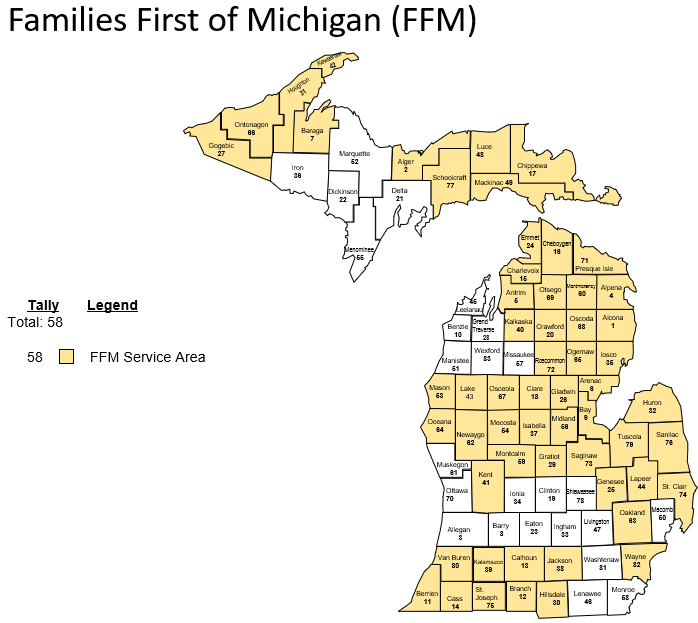 Prevention and Family Preservation Services