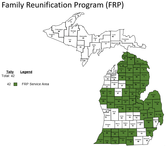 Prevention and Family Preservation Services