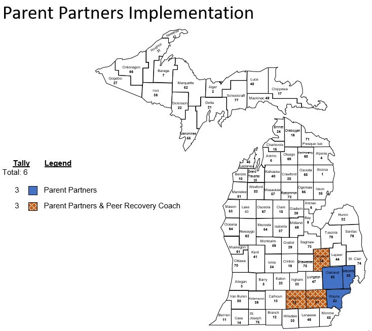 Prevention and Family Preservation Services