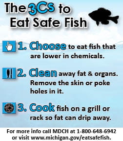 Eat Safe Fish - Healthcare Providers