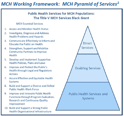 Michigan's Local Maternal Child Health Program