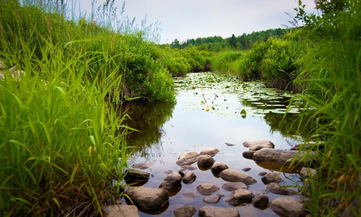 Stormwater management