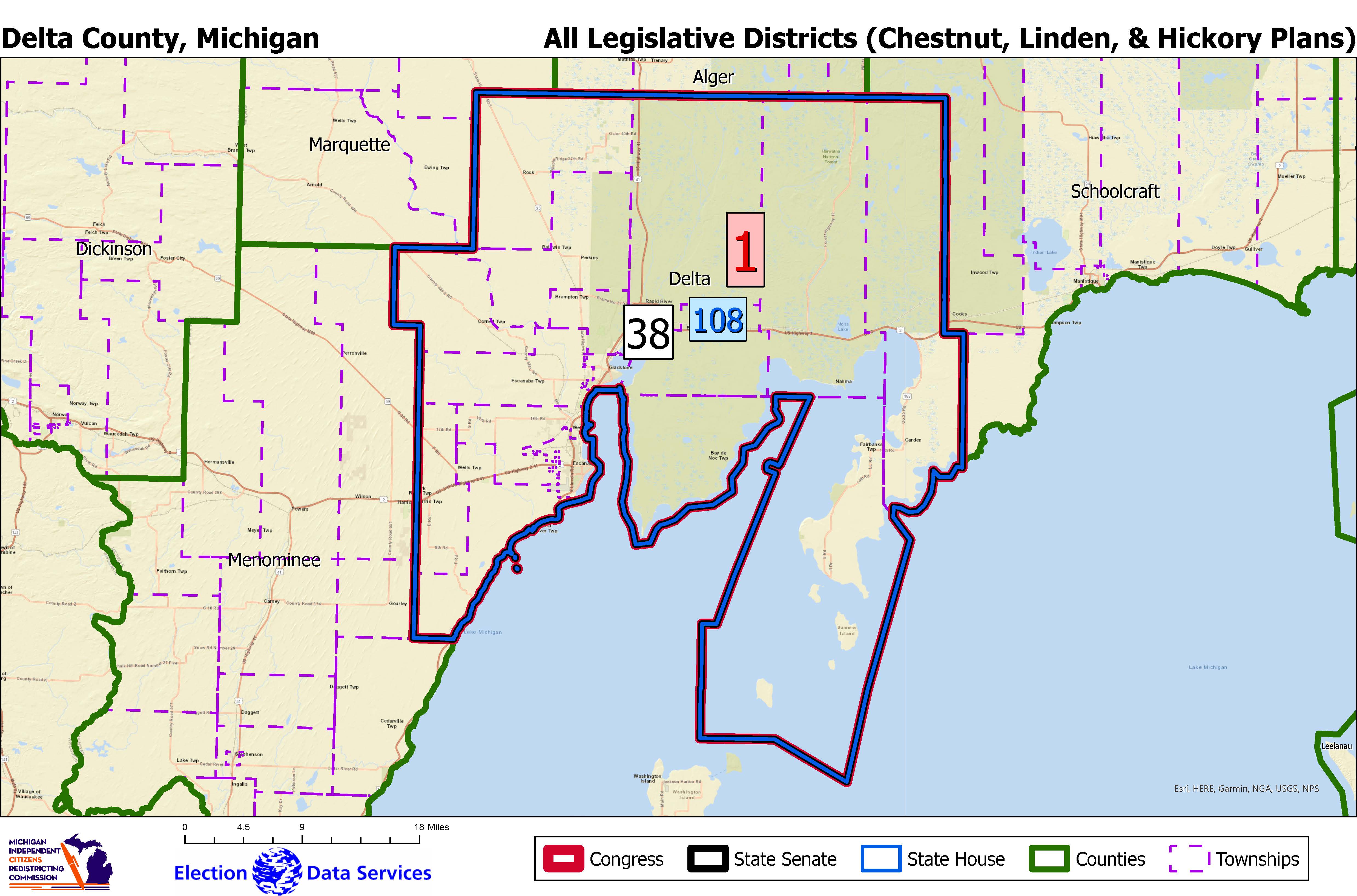 Chamber Michigan Districts Maps