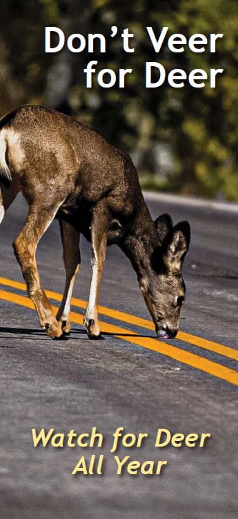Deer-Vehicle Crashes