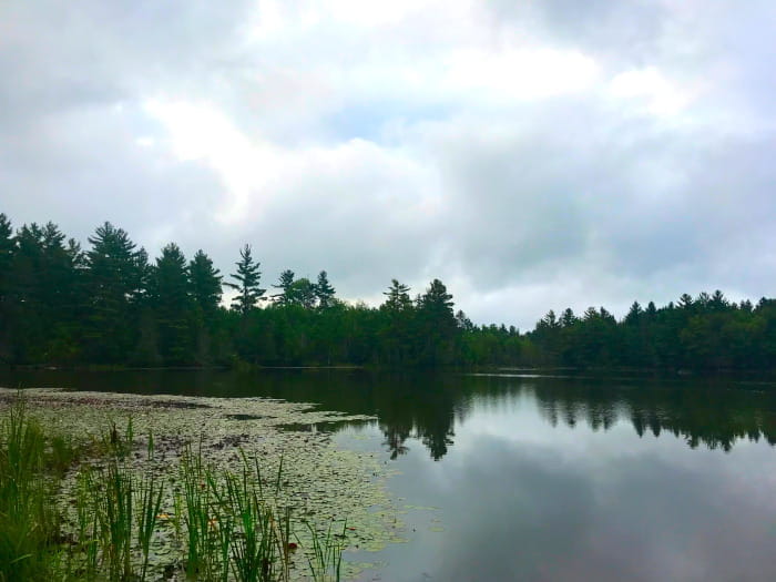 Anderson Lake West State Forest Campground