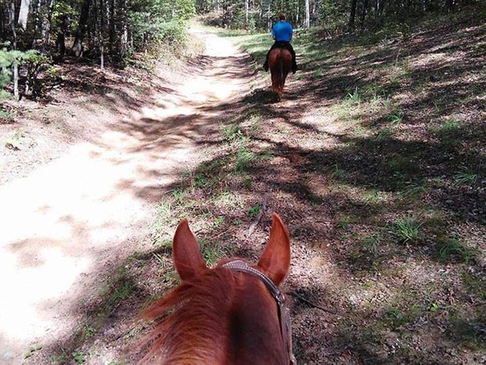 Big Oaks Equestrian State Forest Campground
