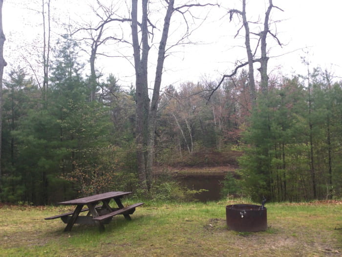Black Creek State Forest Campground