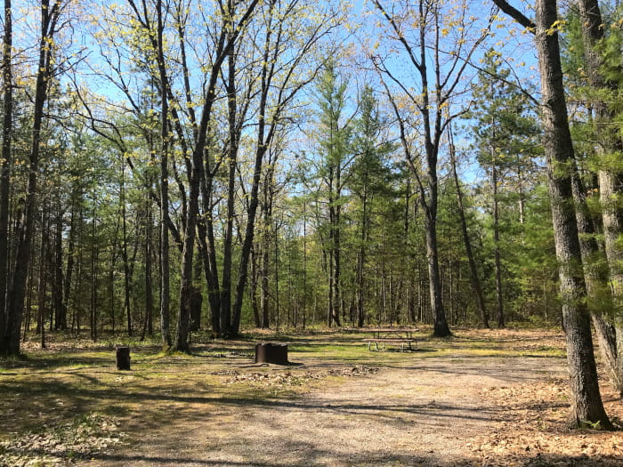 Black Lake (Upper) State Forest Campground