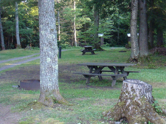 Emily Lake State Forest Campground