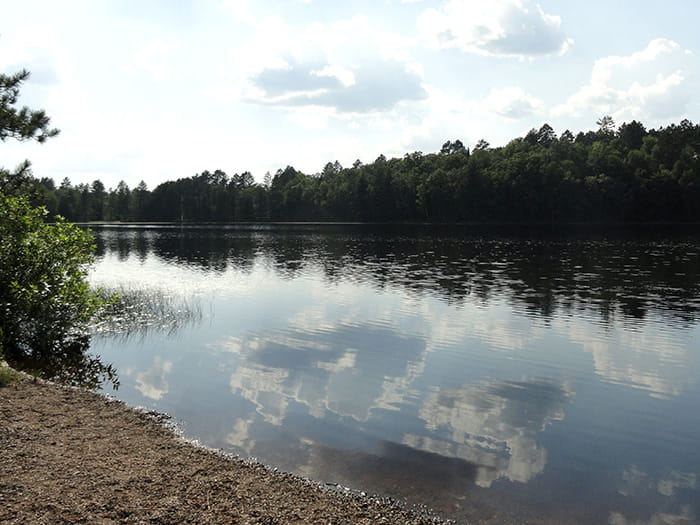 Glidden Lake State Forest Campground