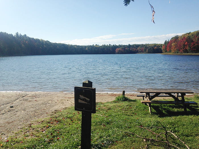 Guernsey Lake State Forest Campground (MI) | CampScope