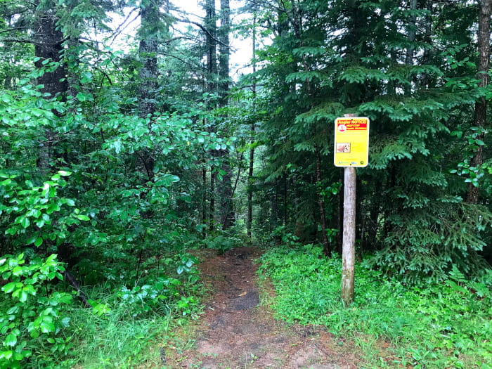 High Bridge State Forest Campground