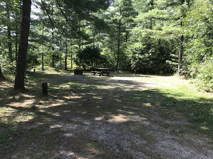 Jones Lake State Forest Campground