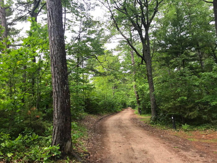 Lake Superior State Forest Campground