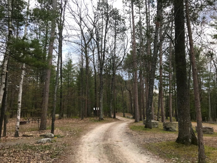 Ocqueoc Falls State Forest Campground