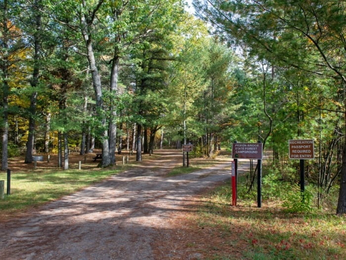 Pigeon Bridge State Forest Campground