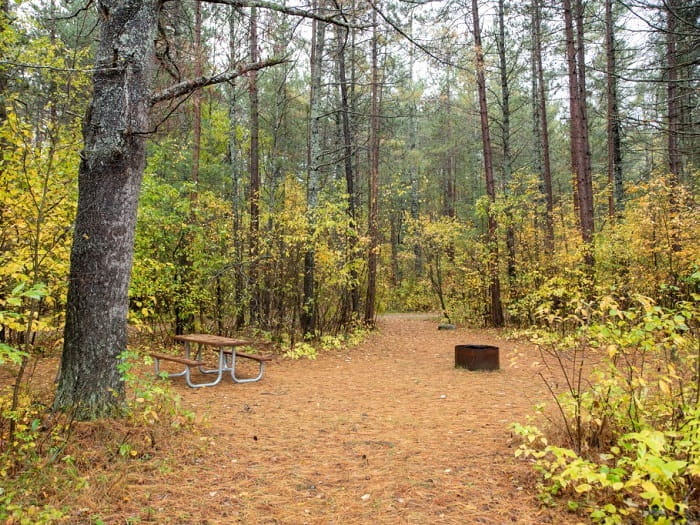 Pigeon River State Forest Campground