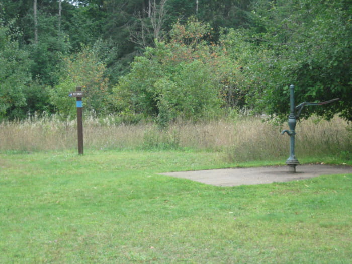 Pinney Bridge State Forest Campground