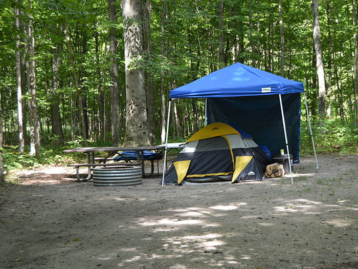 Platte River State Forest Campground