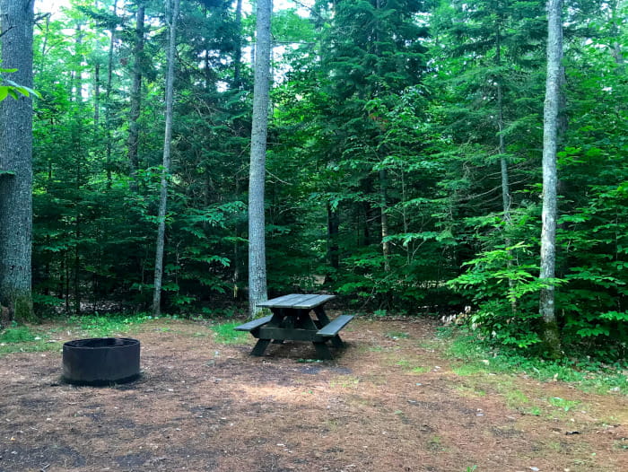 Pretty Lake State Forest Campground