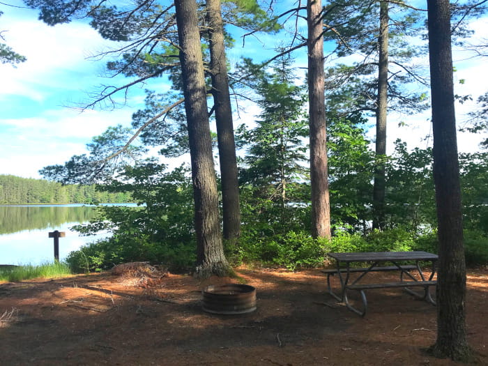 Pretty Lake State Forest Campground