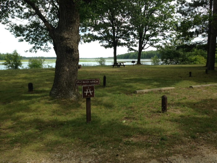 Reedsburg Dam State Forest Campground