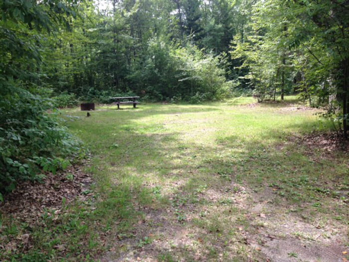 Reedsburg Dam State Forest Campground