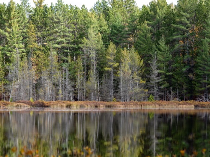 Round Lake State Forest Campground